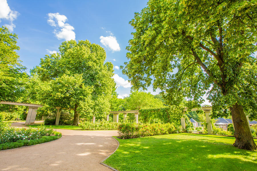Ostdeutscher Rosengarten Forst (Lausitz) - Rosenpark
