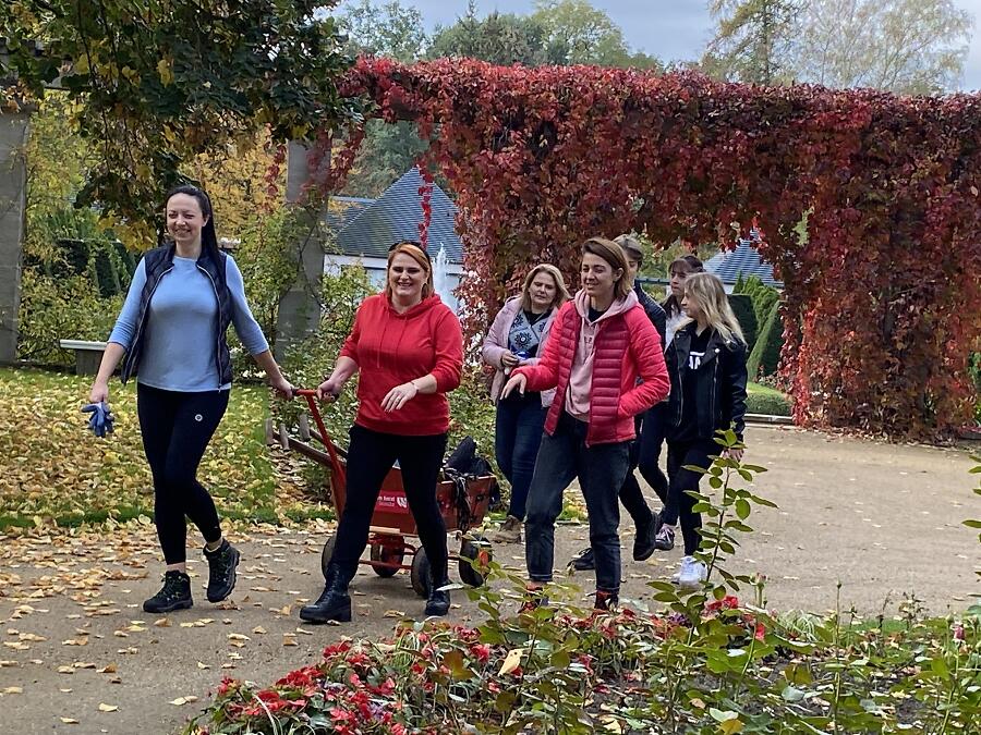 Ostdeutscher Rosengarten Forst (Lausitz) - Startseite