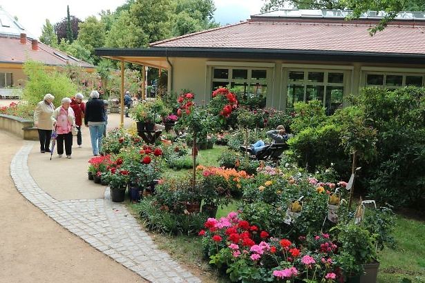 Ostdeutscher Rosengarten Forst (Lausitz) - Der Park als Kulisse für Ihr ...