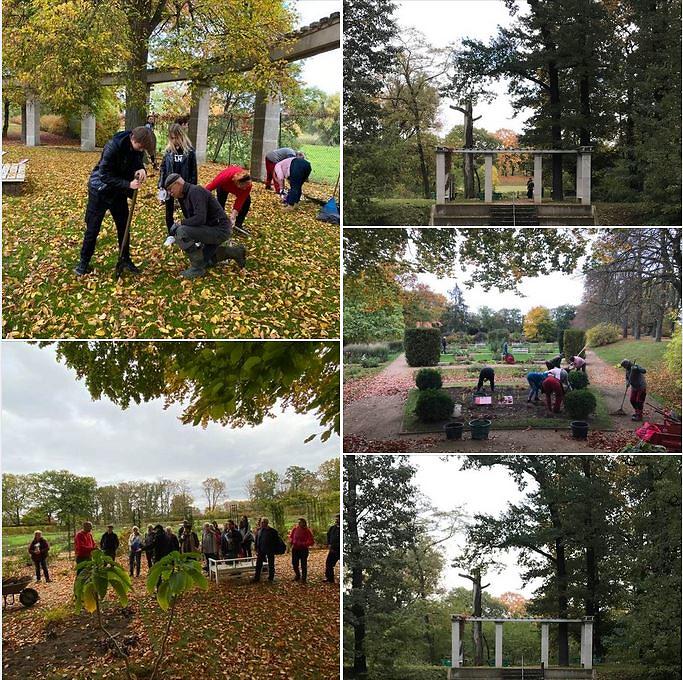 Ostdeutscher Rosengarten Forst (Lausitz) - Startseite