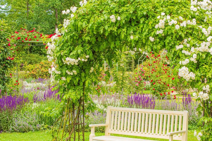 Ostdeutscher Rosengarten Forst (Lausitz) - Rosenpark